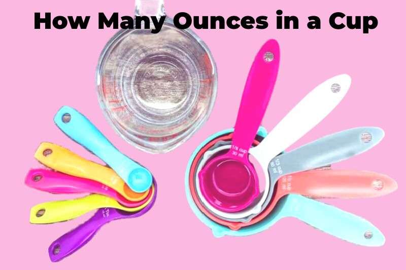 How Many Ounces In A Cup Read To Know How Many Ounces In A Cup Read To Know